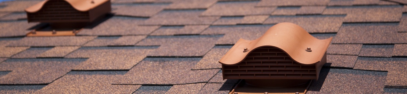 Tuile chatière : explications et rôle